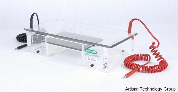 DNA Sub Bio-Rad (Cell) | ArtisanTG™