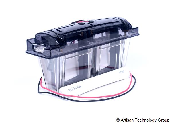 A25977 Invitrogen (Mini Gel Tank) | ArtisanTG™